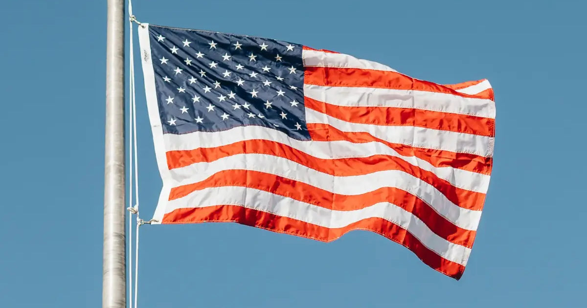 American Flag History - Evolution Through Time | Allegiance