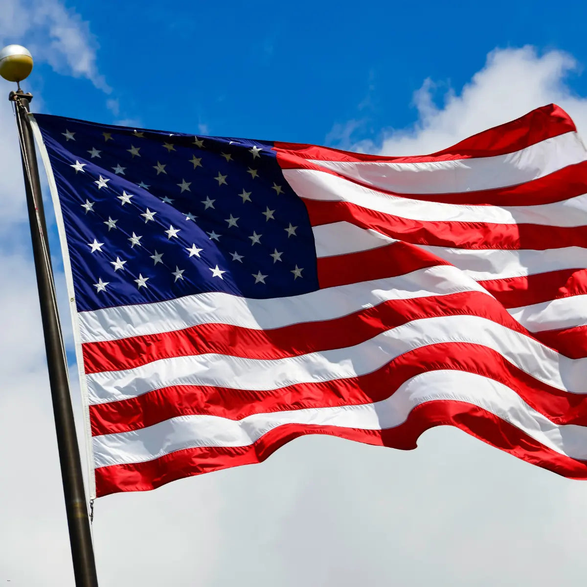 Flag Etiquette: Honor The Symbol Of Freedom | Allegiance