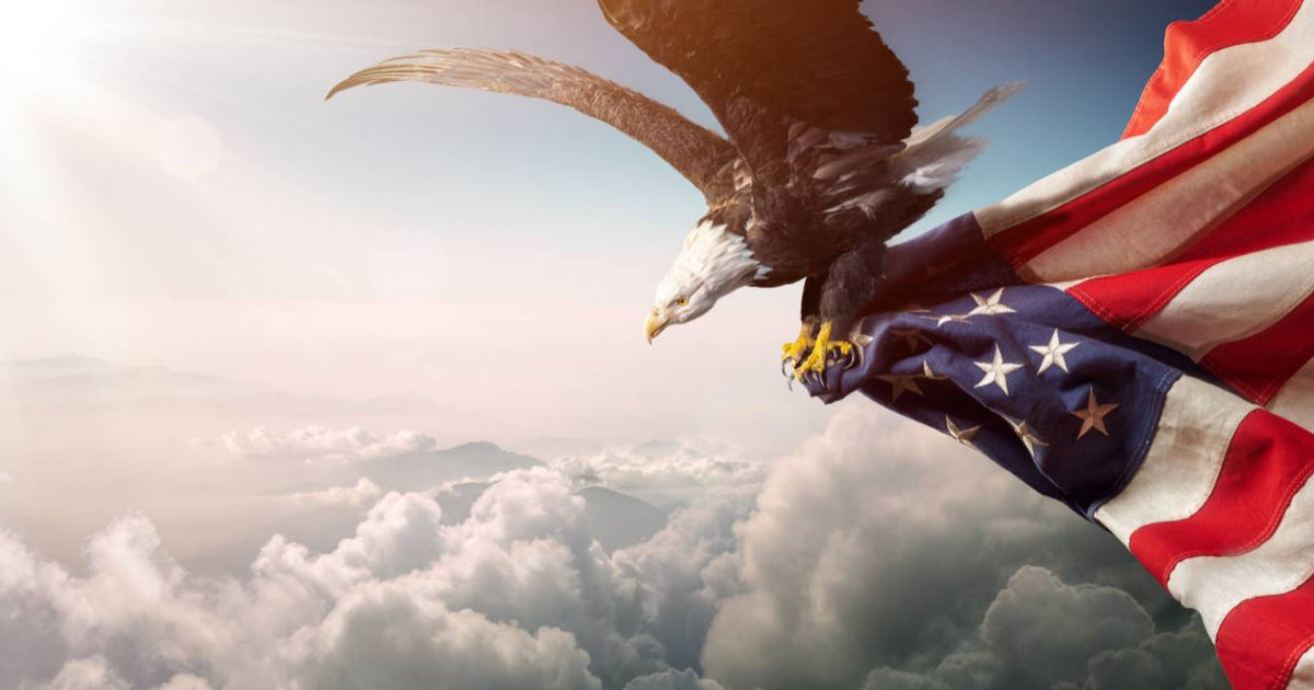 Individualism & Freedom Connection | Blog - Allegiance