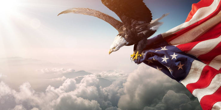Individualism & Freedom Connection | Blog - Allegiance